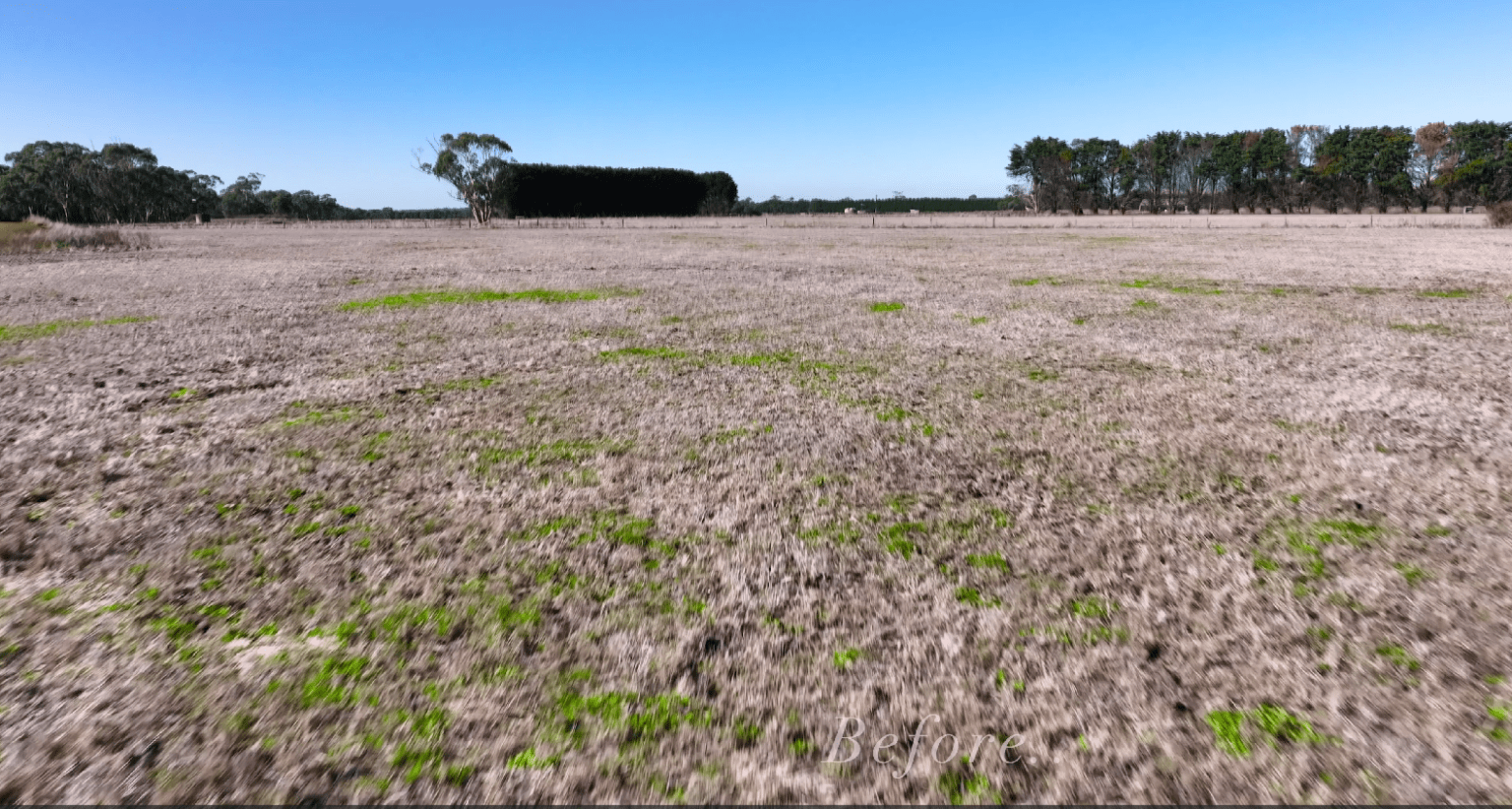 Cricket bait - Webber & Chivell fertilisers