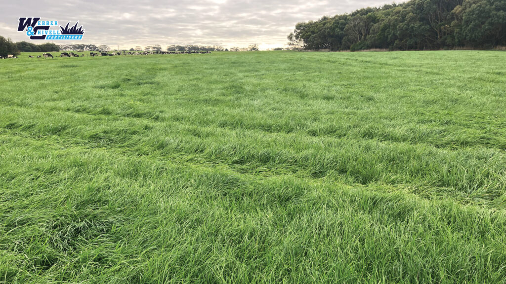 Pasture rotation lengths in winter l Webber & Chivell